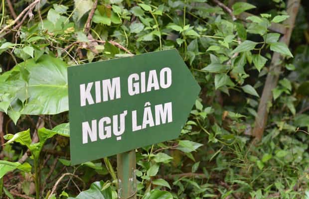 Cat Ba National Park: Secret Jungle Trek & Hidden Caves | GetYourGuide