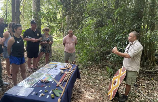 Atherton: Yidinji Explorer Tour with Fig Tree & Lake Barrine | GetYourGuide