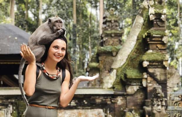 Ubud: tour della foresta delle scimmie e delle terrazze di riso di ...
