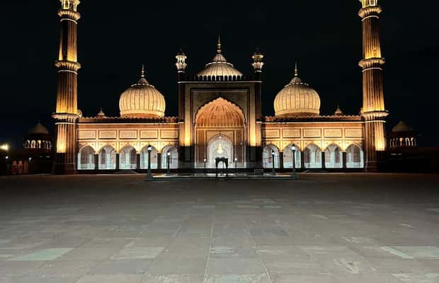 Delhi : promenade nocturne, street food et pousse-pousse | GetYourGuide