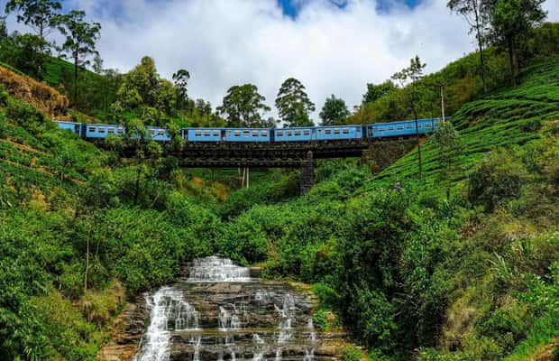Kandy: Nanu Oya Scenic First Class Railway Experience | GetYourGuide