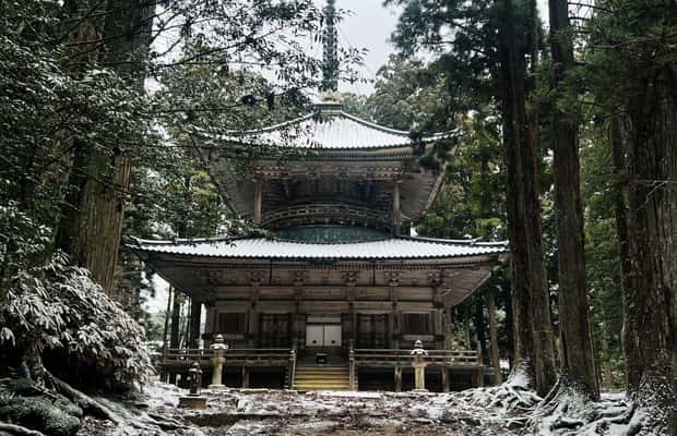 Koyasan Hidden Gems Day Trip From Osaka | GetYourGuide
