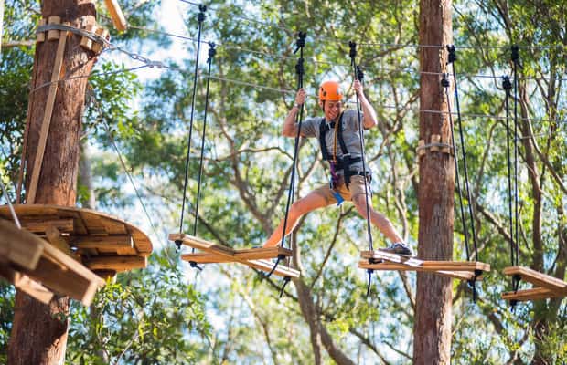 Coffs Harbour: Treetops Adventure Tree Ropes Course | GetYourGuide