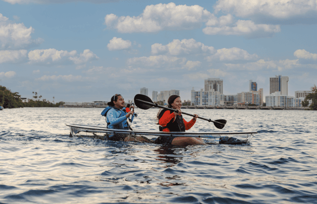 San Juan: Condado Lagoon Nature Kayak Tour | GetYourGuide
