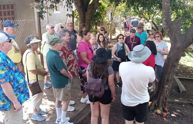 Explore Grenada's Magic: Private Spice Island Tour | GetYourGuide