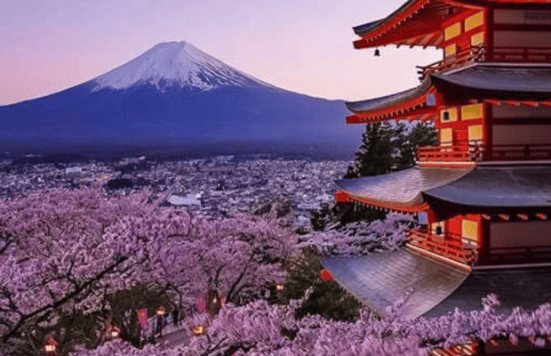 From Tokyo: Mount Fuji Private Customizable Full-Day Tour | GetYourGuide