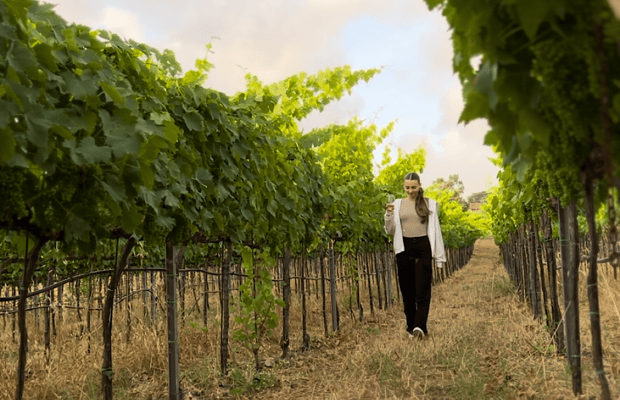 Tropea: Wein- und Essensverkostung | GetYourGuide