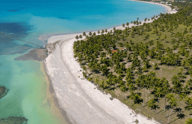 Maceió: Enjoy Ipioca Beach | GetYourGuide