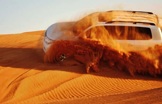 Doha: Experience the Ultimate Desert Safari Tour with us | GetYourGuide