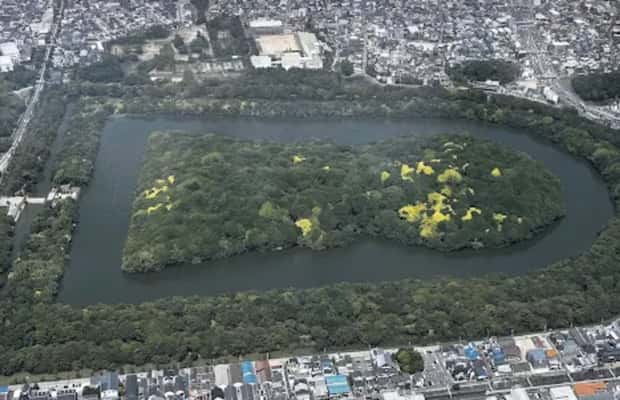 Osaka: Sakai Day Tour with Lunch and Transfers | GetYourGuide