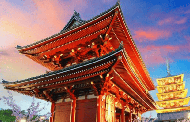 Tokyo Full Day Private Customizable Tour with Guide | GetYourGuide