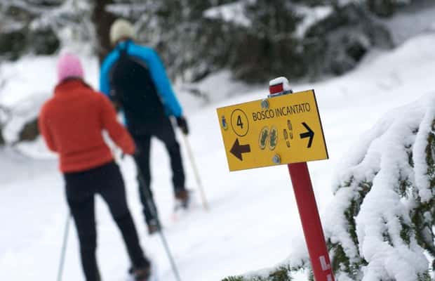 Cogne – snowshoeing in the enchanted forest | GetYourGuide