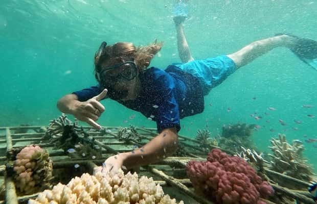 Morning at sea: Dolphins, Mauritian breakfast, natural aquarium ...