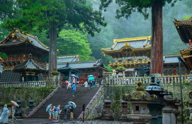From Tokyo: Nikko World Heritage Sight Full Day Private Tour | GetYourGuide