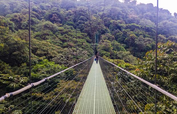 Monteverde: Hanging Bridges in the Cloud Forest Guided Tour | GetYourGuide