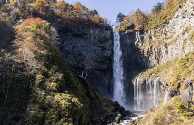 Tokyo: Nikko Unesco World Heritage Private Day Tour & Pickup | GetYourGuide