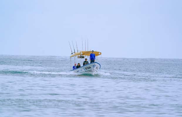 Sayulita, Sport Fishing in the Pacific | GetYourGuide