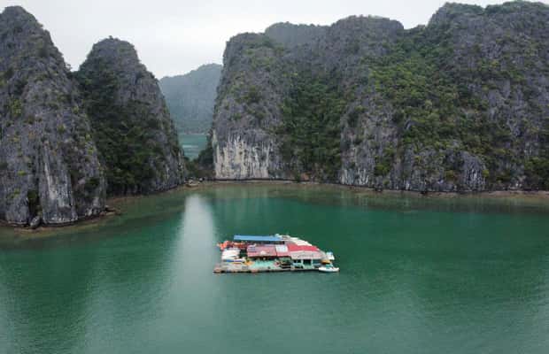 CAT BA :2D1N Lan Ha bay-Ha Long bay with Plankton Excursion | GetYourGuide