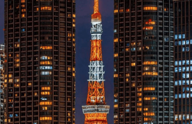 Tokyo: Private Izu Peninsula & Shimoda Day Trip | GetYourGuide