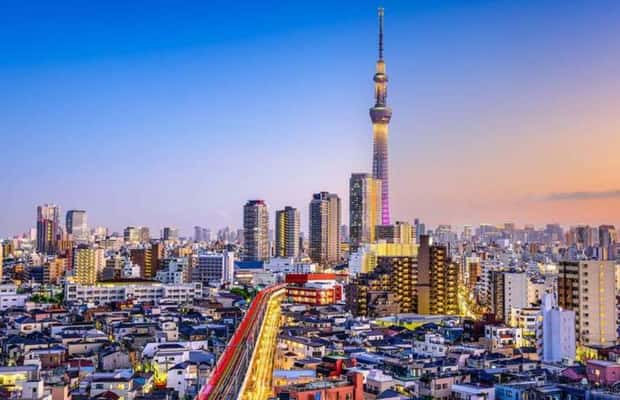 From Tokyo: Tokyo Full Day private Tour With English Driver | GetYourGuide