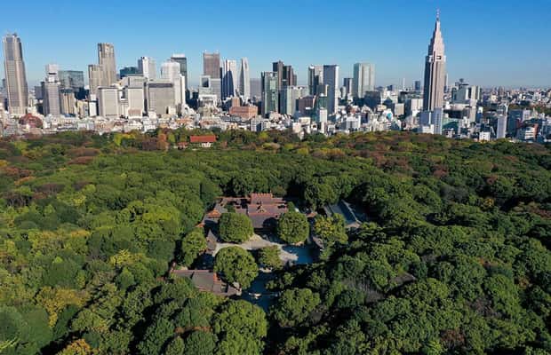 Tokio: Rundgang durch den Meiji-Schrein – Shintoismus und das ...