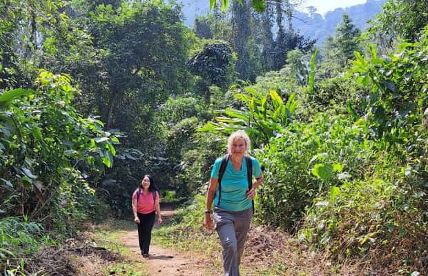 Cuc Phuong National Park - Van Long Day Trip From Hanoi | GetYourGuide