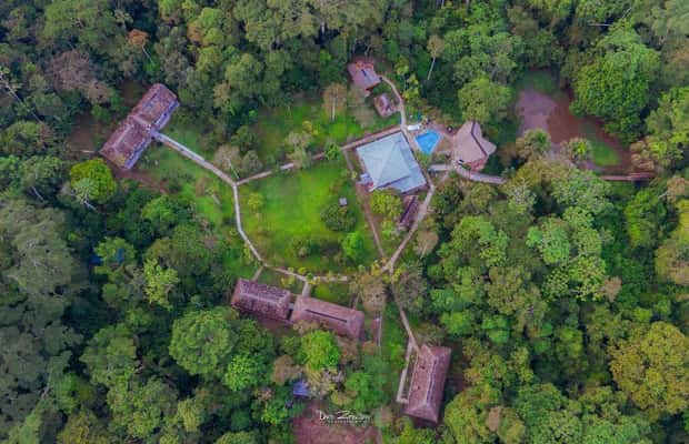 From Quito: Ecuador Rainforest 2-Day Tour with Food & Lodge | GetYourGuide