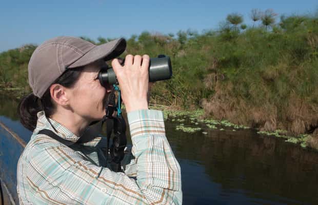 Kampala: Mabamba Swamp Birdwatching Tour with Homemade Cake | GetYourGuide