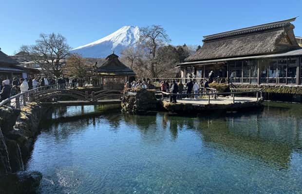 Tokyo: Mount Fuji Private Tour with Guide | GetYourGuide