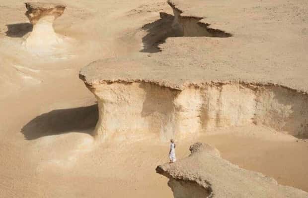 Doha: West Qatar Tour with Wildlife & Landscapes Experience | GetYourGuide