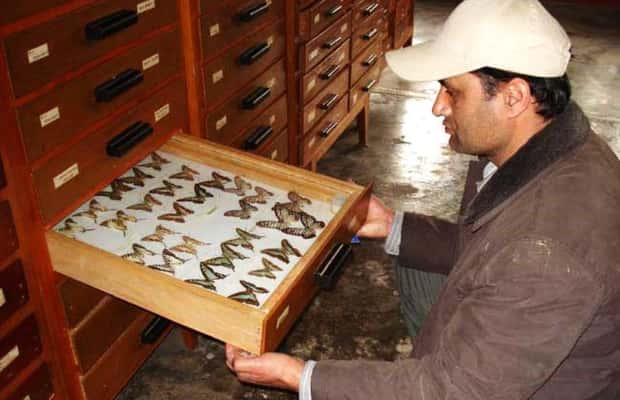 Pokhara: Full-Day Museum Tour with Snacks and Tea | GetYourGuide