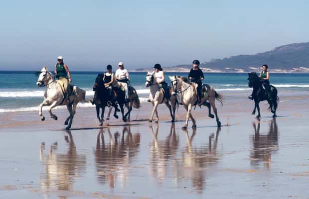 Bordj El Kiffan: Guided Horseback Riding Experience | GetYourGuide
