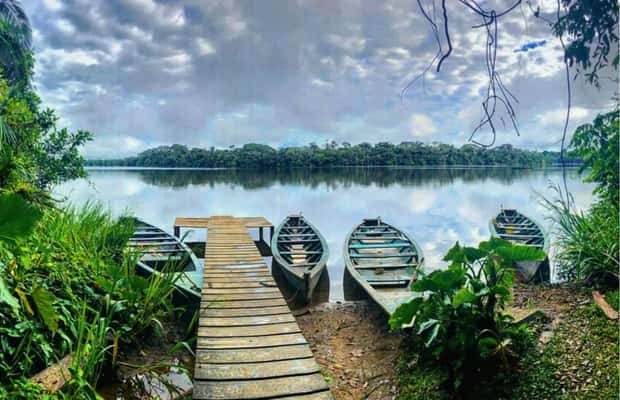 Puerto Maldonado: aventura con nutrias en el río Amazonas | GetYourGuide