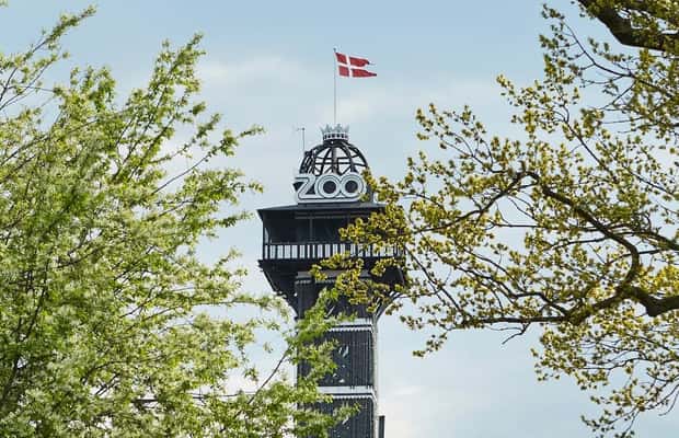Copenhague: ticket de acceso a la Torre del Zoo de Copenhague ...