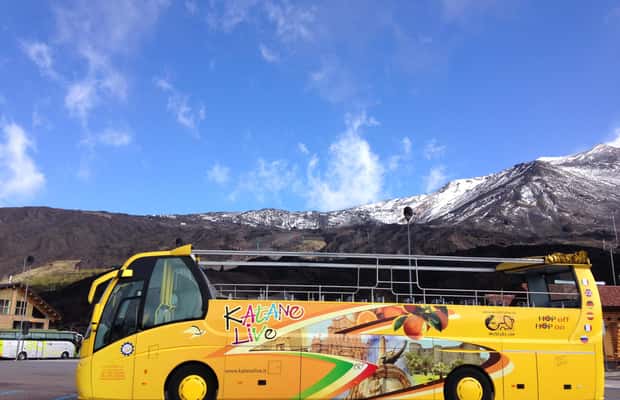 Etna: open bus tour and honey tasting, leaving from Catania | GetYourGuide