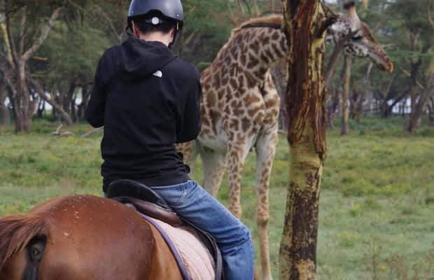 Nairobi: Horseback Safari and Lake Naivasha Boat Ride | GetYourGuide