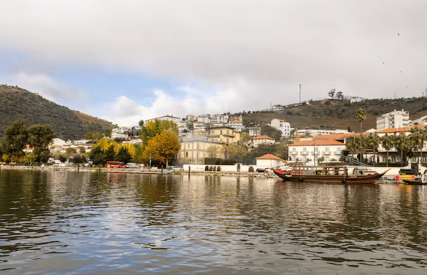 Douro Valley · wine tasting with private cruise and regional lunch ...