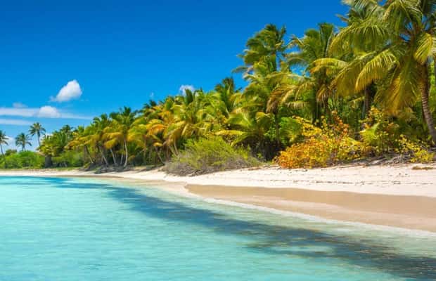 Miches: Isla Saona Day Trip with Catamaran & Lunch | GetYourGuide