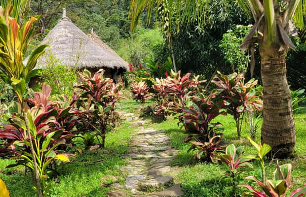 Santa Marta/Minca: Indigenous Village & Organic Cacao Tour | GetYourGuide