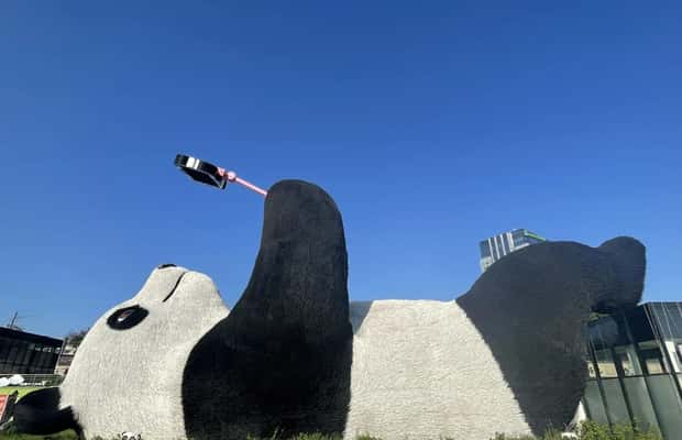 Chengdu: Dujiangyan, Qingcheng Mountain, and Blue Tears Tour | GetYourGuide