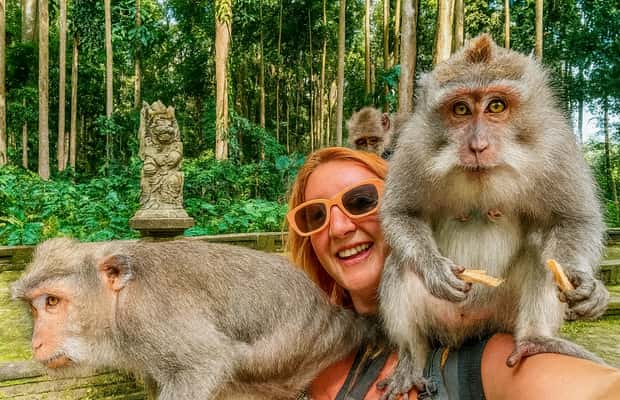 Bali: Full Day Trip Sangeh, Abian Desa, Sebatu, & Umah Kuno | GetYourGuide