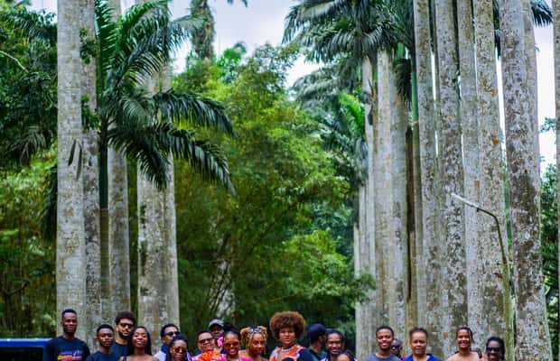 Experience Boti Twin Waterfalls, Umbrella Rock, 3H-Palm Tree | GetYourGuide