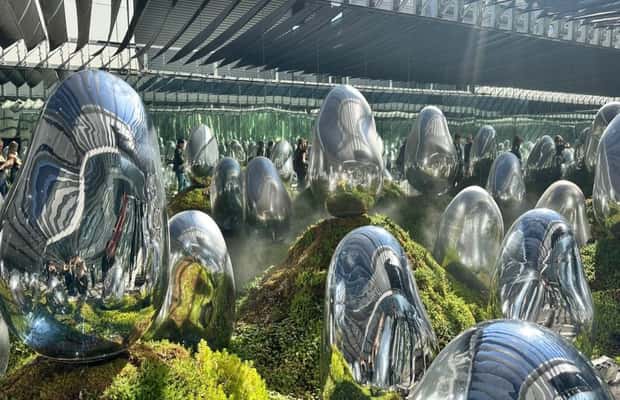 Fra Nikko: Rundtur i Tokyo med kunst, arkitektur og skyline | GetYourGuide