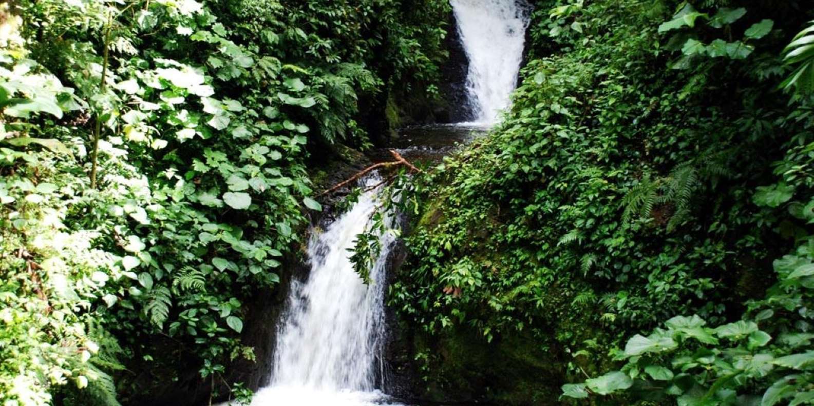Riserva Biologica di Monteverde, Riserva biologica di Monteverde Tour ...