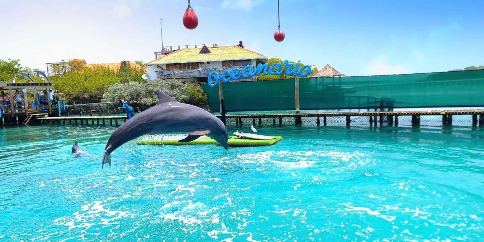 Oceanario Islas del Rosario, Cartagena de Indias - Reserva de entradas ...