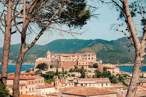 The best Elba Snorkeling 2026 - Free cancellation | GetYourGuide