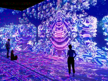 Amaze Amsterdam Amsterdam: Boka biljetter till ditt besök | GetYourGuide