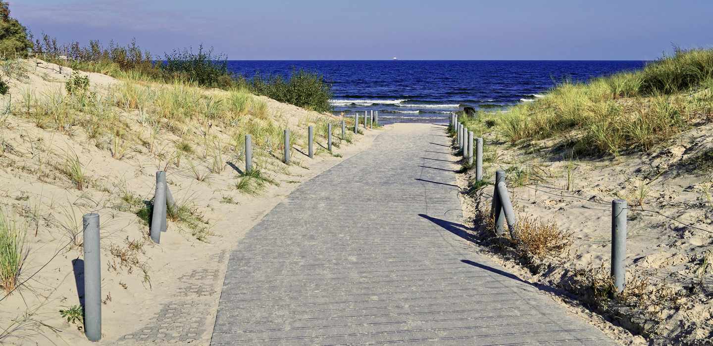 TOP Uznam Zwiedzanie na kołach 2024 – DARMOWA rezygnacja | GetYourGuide