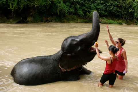 The BEST Medan Tours and Excursions in 2026 - FREE Cancellation ...