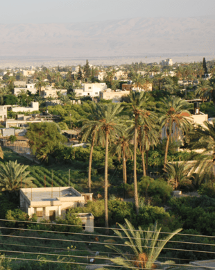 The BEST Jericho Tours and Things to Do in 2024 - FREE Cancellation ...